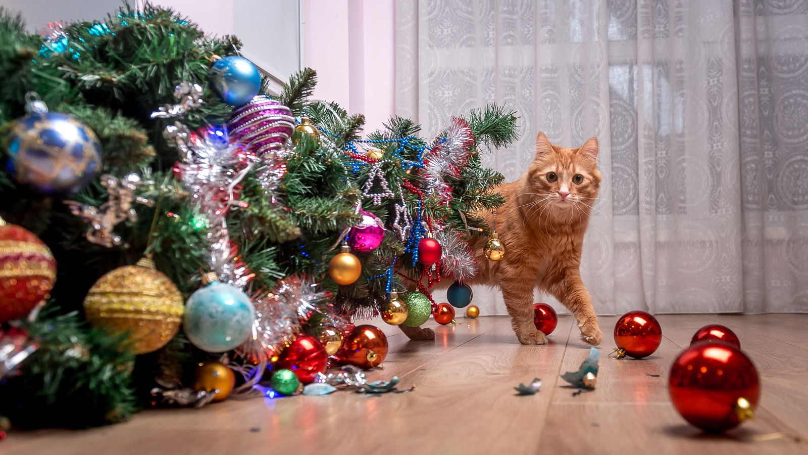 10 Cat-Friendly Christmas Tree Options To Consider For Your Home