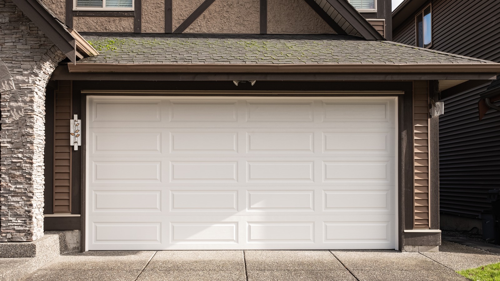 10 Plants That Are Perfect For Starting A Garage Garden