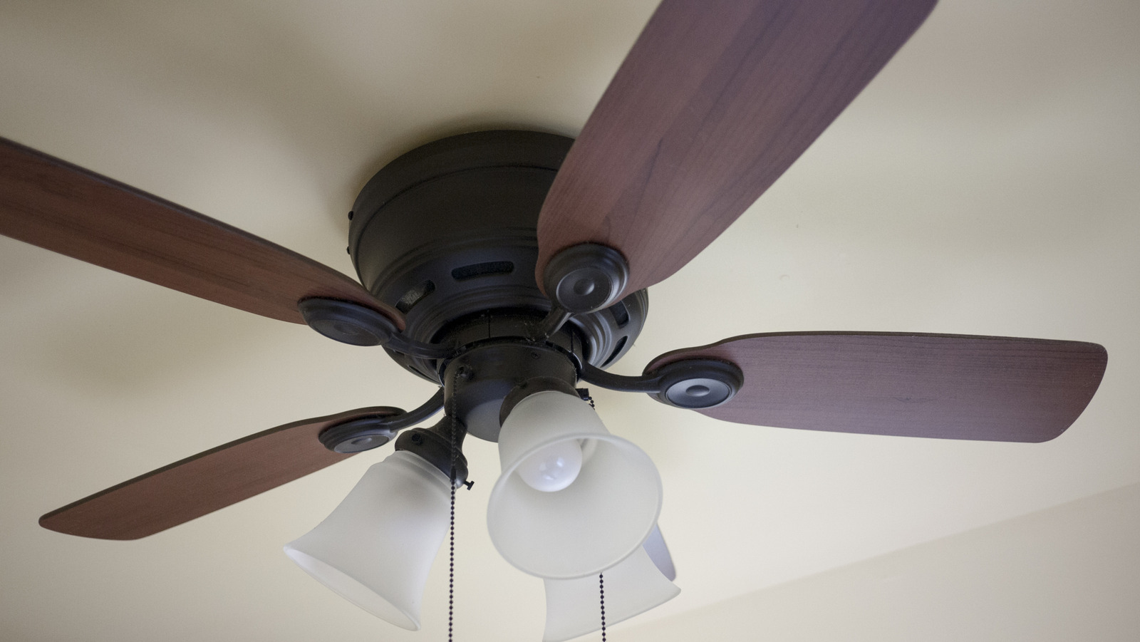 10 Unique And Crafty Ways To Repurpose Ceiling Fan Blades In Your Home ...