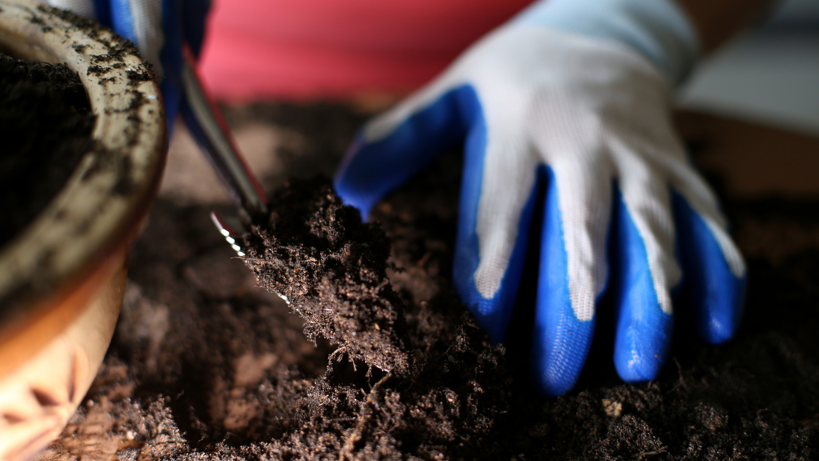 10 Ways To Amend Soil In Fall For A Healthy Garden Next Spring