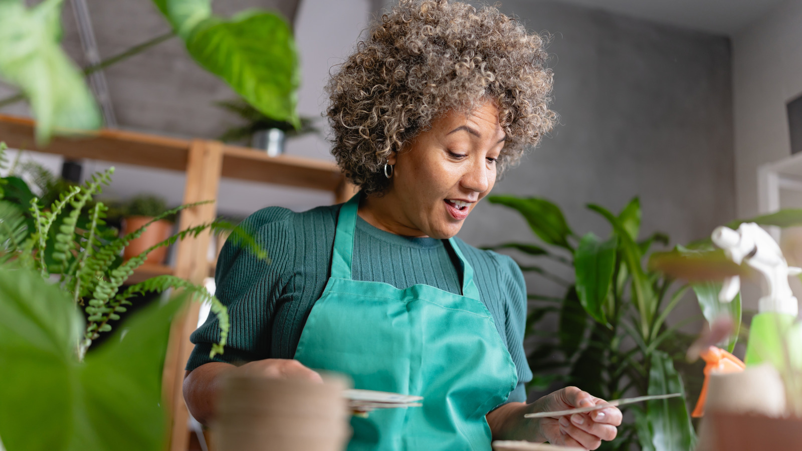 11 Affordable Products That Make Starting Seeds For Your Garden A Breeze