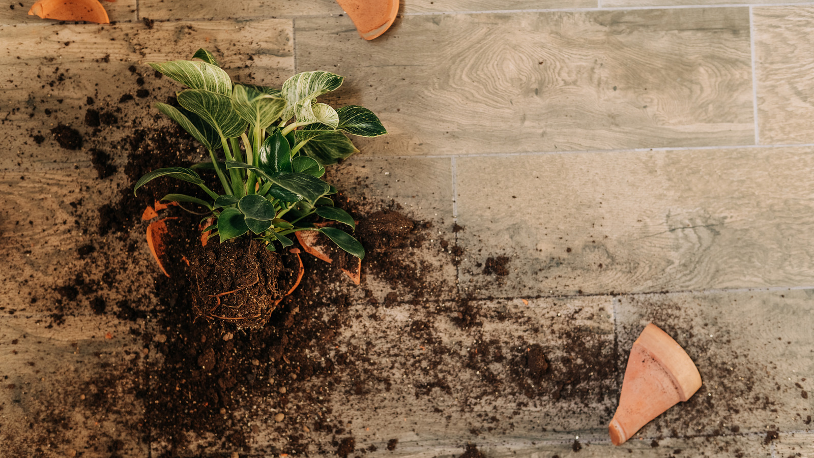 11 Creative Ways To Repurpose Broken Plant Pots In Your Home & Garden