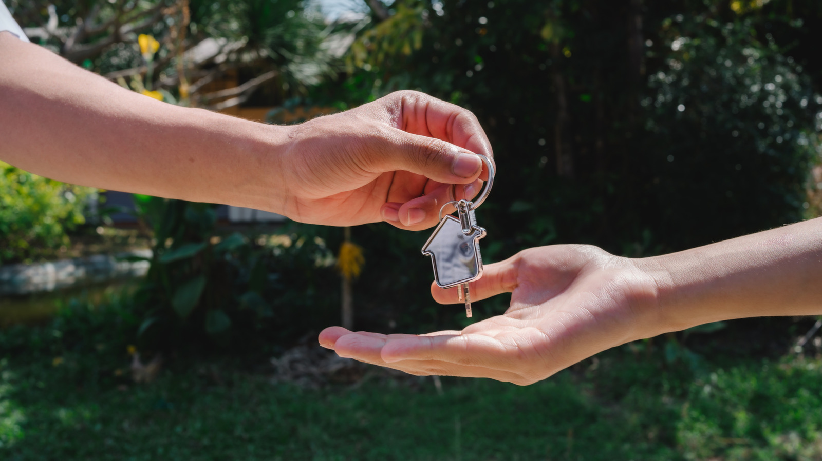 11 Landscaping Mistakes That Every New Homeowner Makes