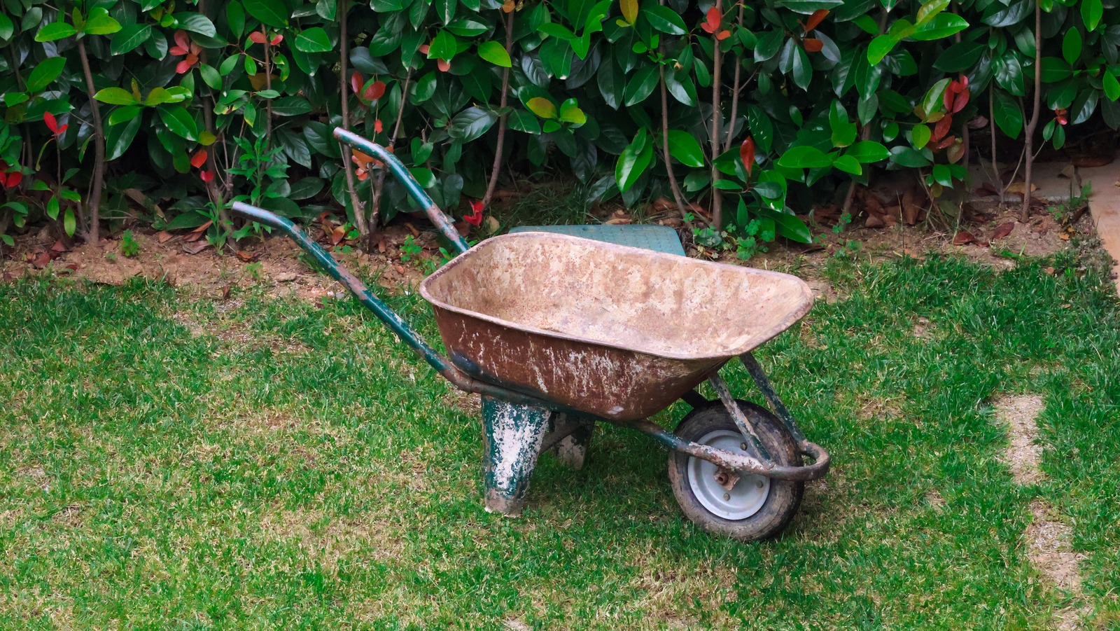 12 Clever Ways To Repurpose An Old Wheelbarrow In Your Garden