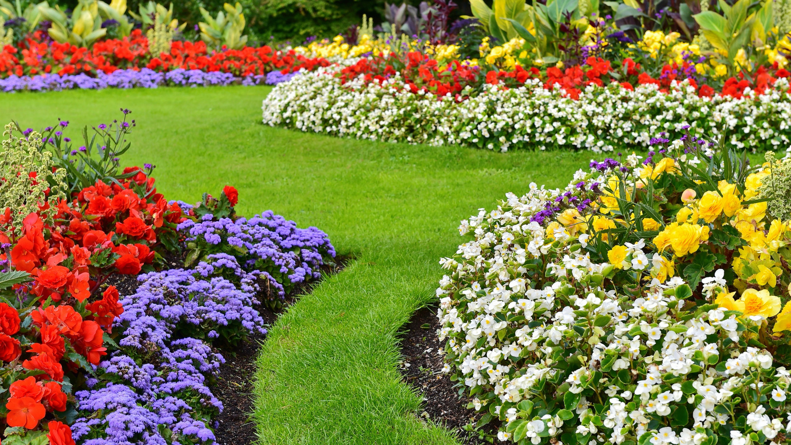 12 Natural Landscape Edging Ideas To Elevate Your Yard