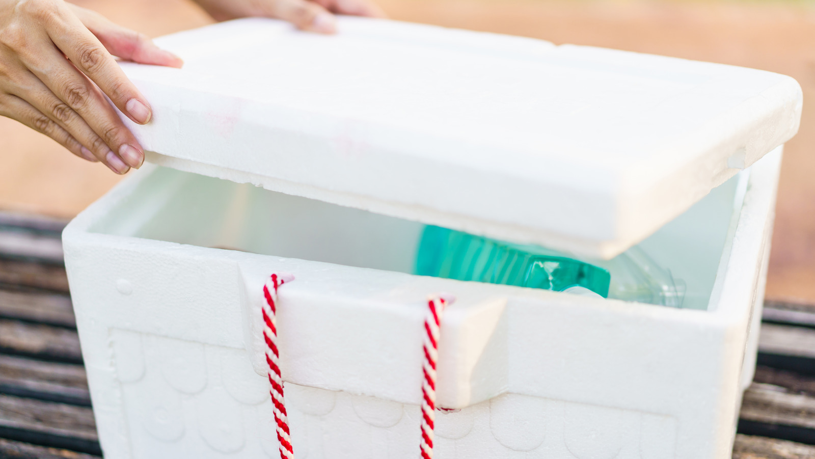 14 Ways To Repurpose Your Old Cooler At The End Of Summer Instead Of ...