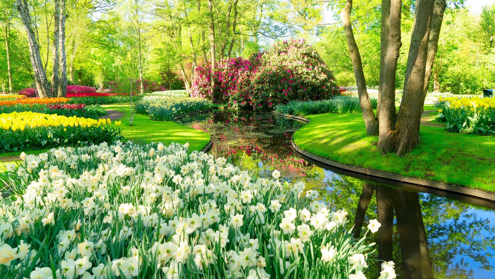 15 Flowering Perennials To Plant For A Stunning Spring