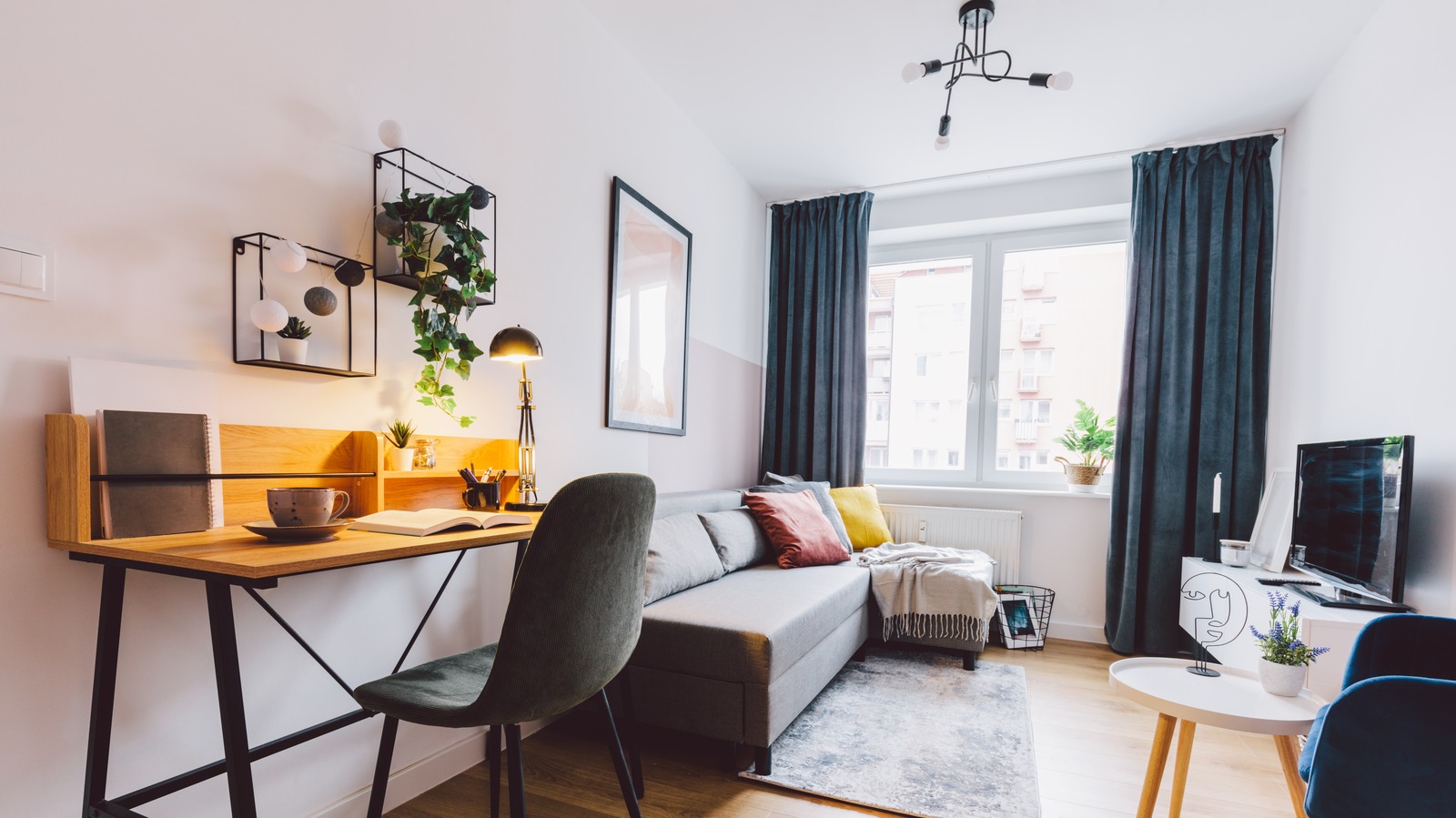 15 Things You Absolutely Need For Your First Apartment