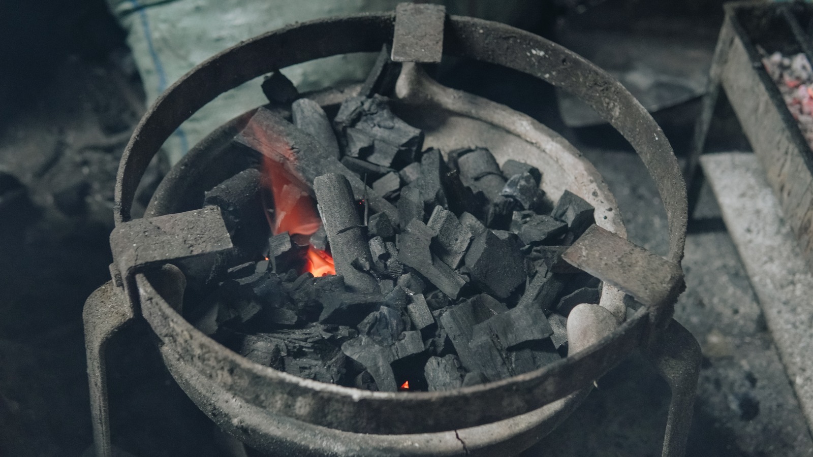 15 Ways To Repurpose Charcoal Around Your Home And Garden