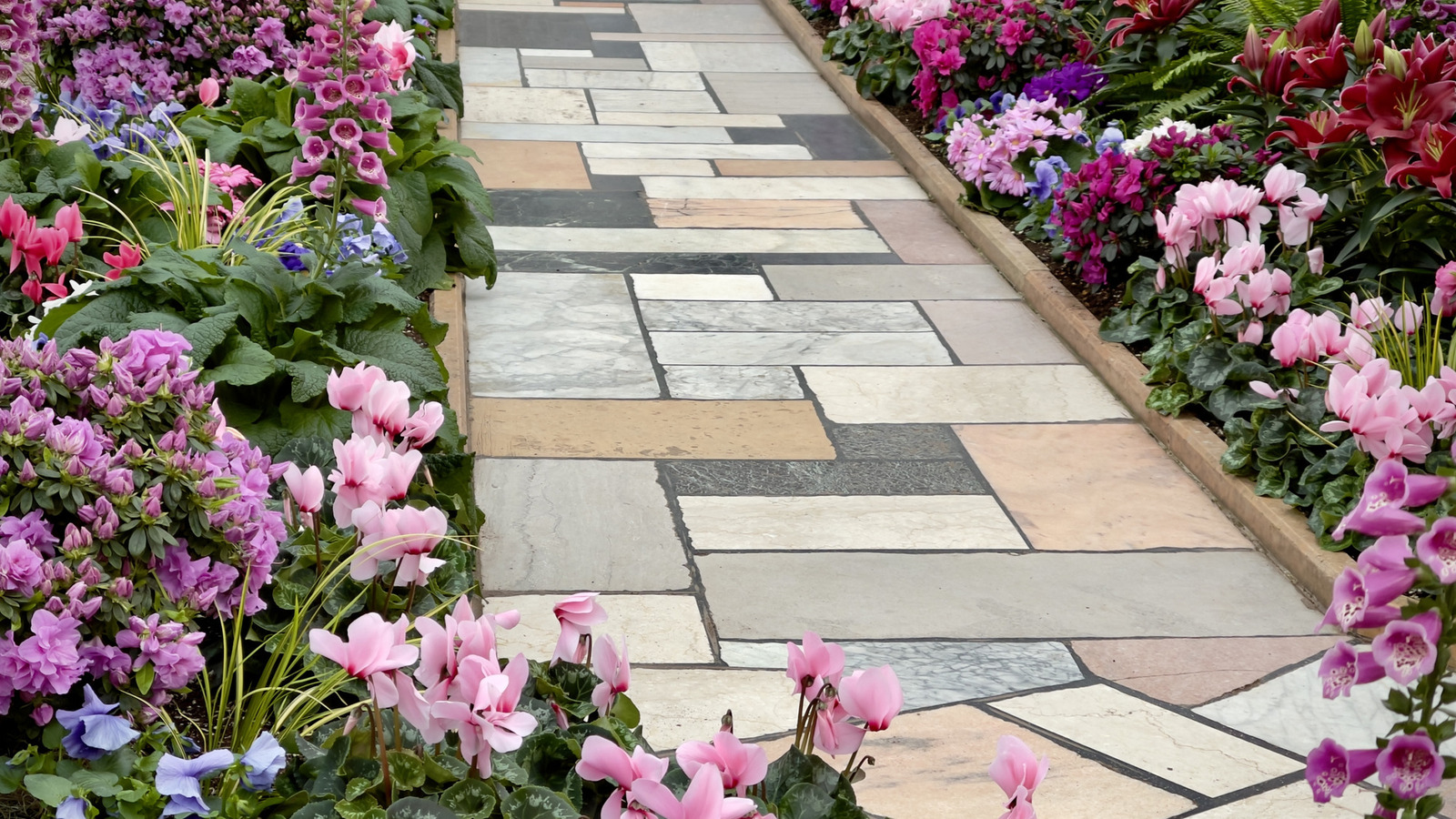 Most Beautiful Stone Walkway