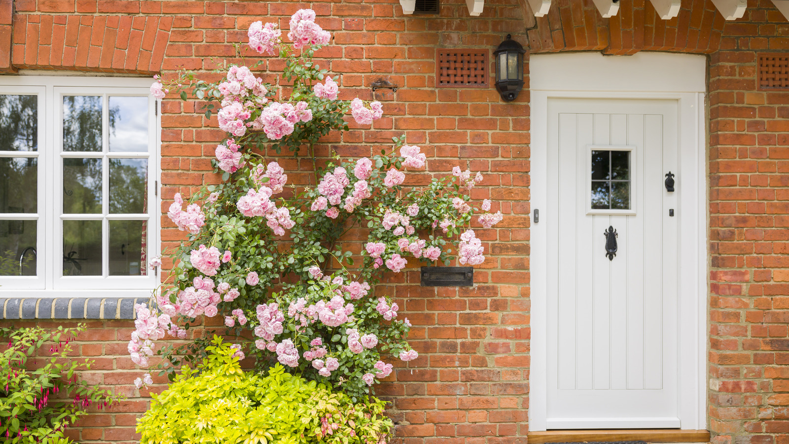 21 Beautiful Front Door Ideas For A Cozy Cottage-Style Home