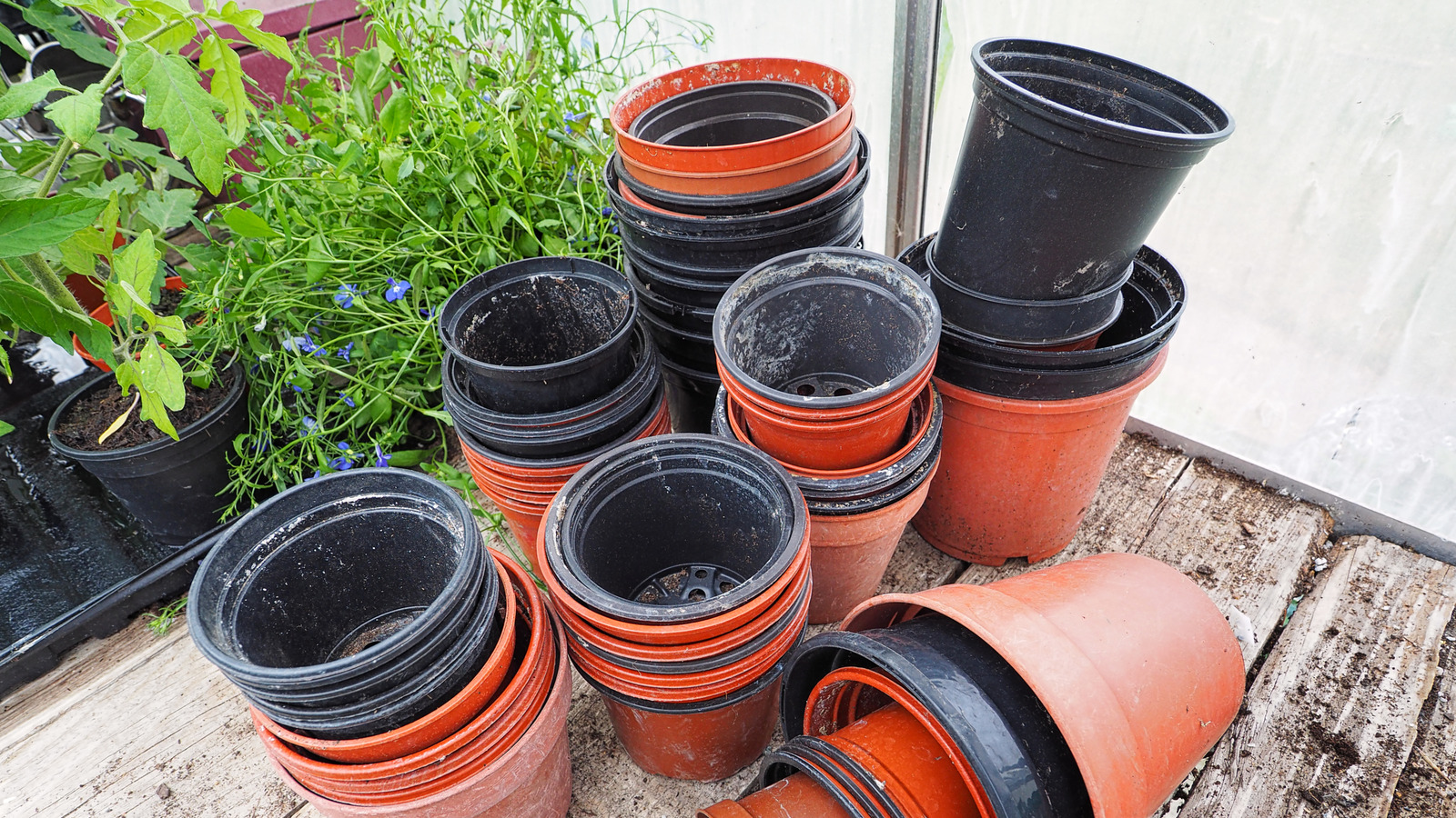 23 Creative Ways To Reuse Plastic Nursery Pots In Your Garden