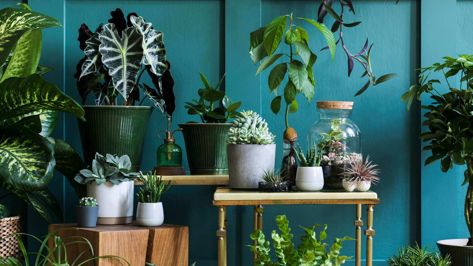 25 Genius Ways To Decorate With Greenery