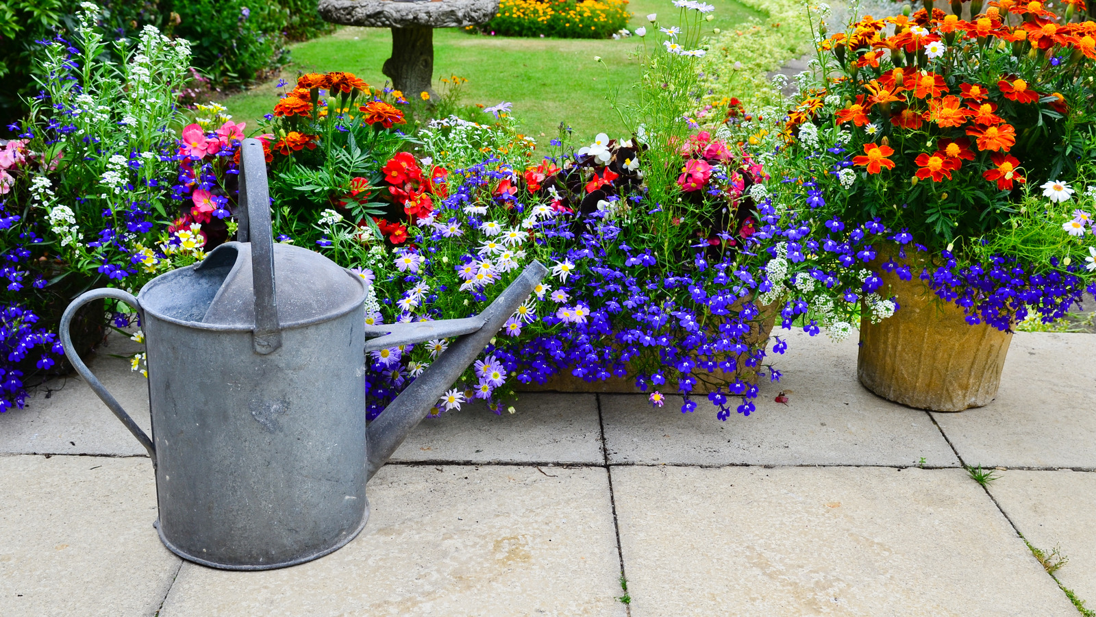 Brilliant Ways To Repurpose An Old Watering Can That You No Longer Use