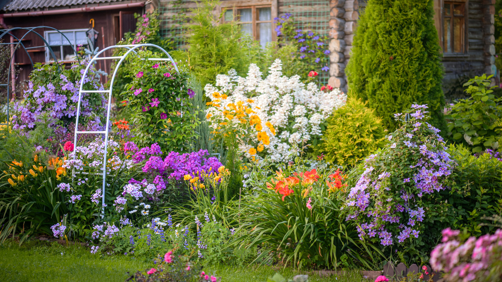 26 Summer Blooming Perennials Perfect For A Colorful Garden