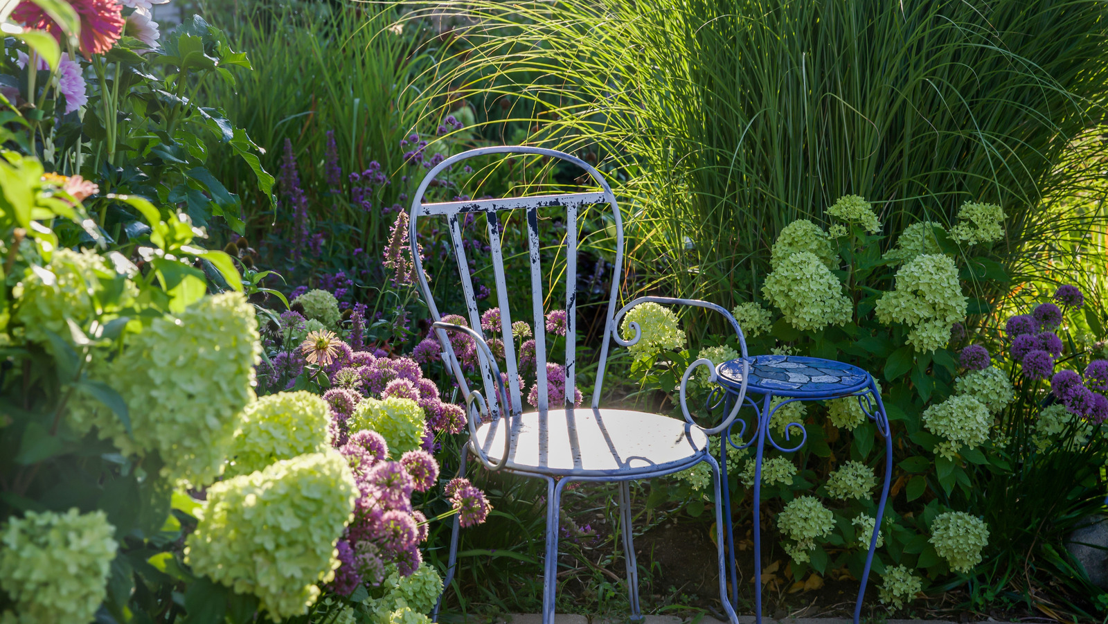 26 Vintage Garden Flowers That Never Go Out Of Style