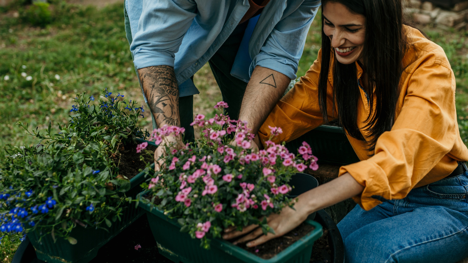 28 Gorgeous Flowers You Can Plant In Fall To Kickstart A Stunning ...