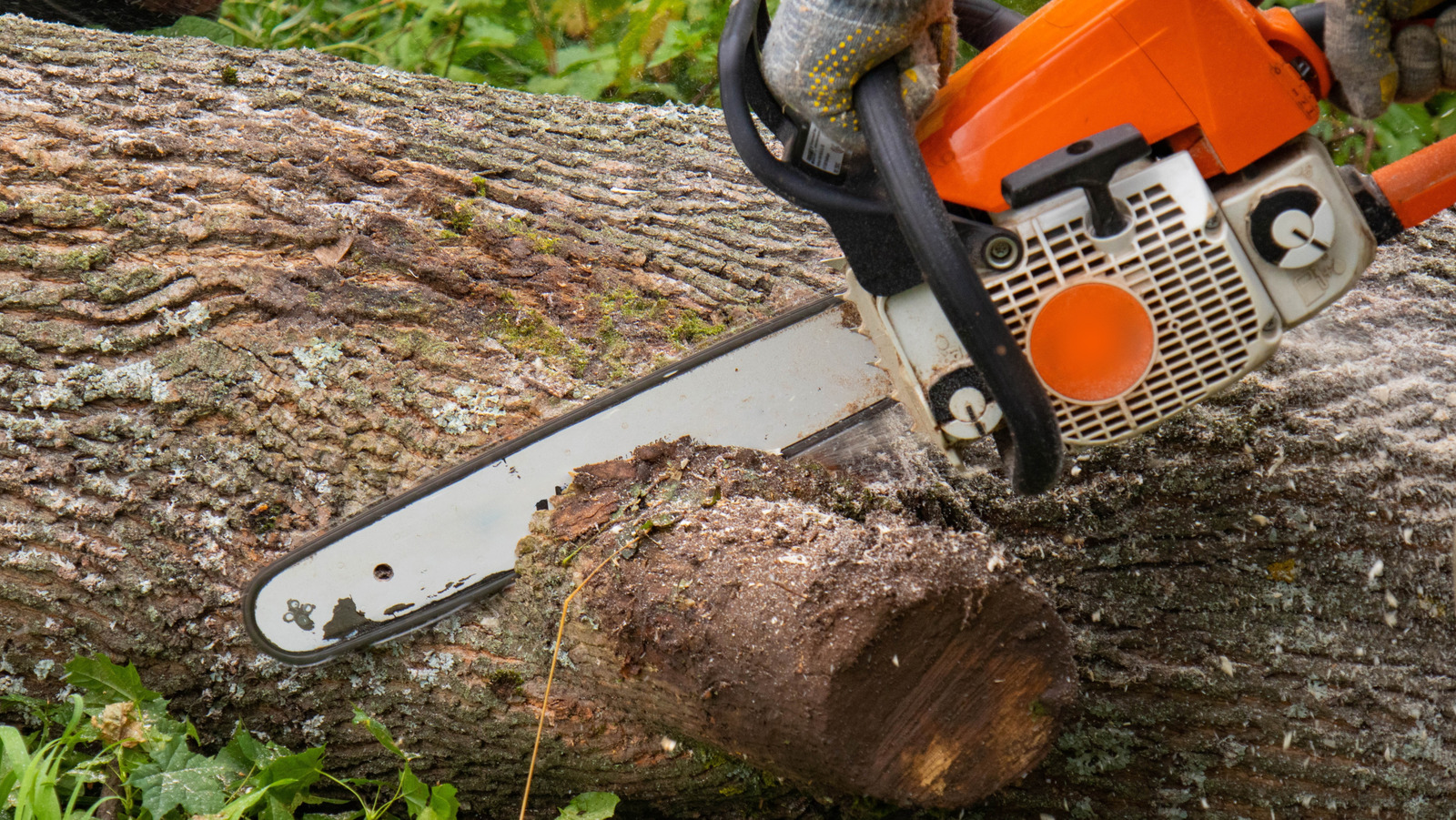 4 Top-Rated Chainsaws That Are Worth Buying (And 2 To Avoid)