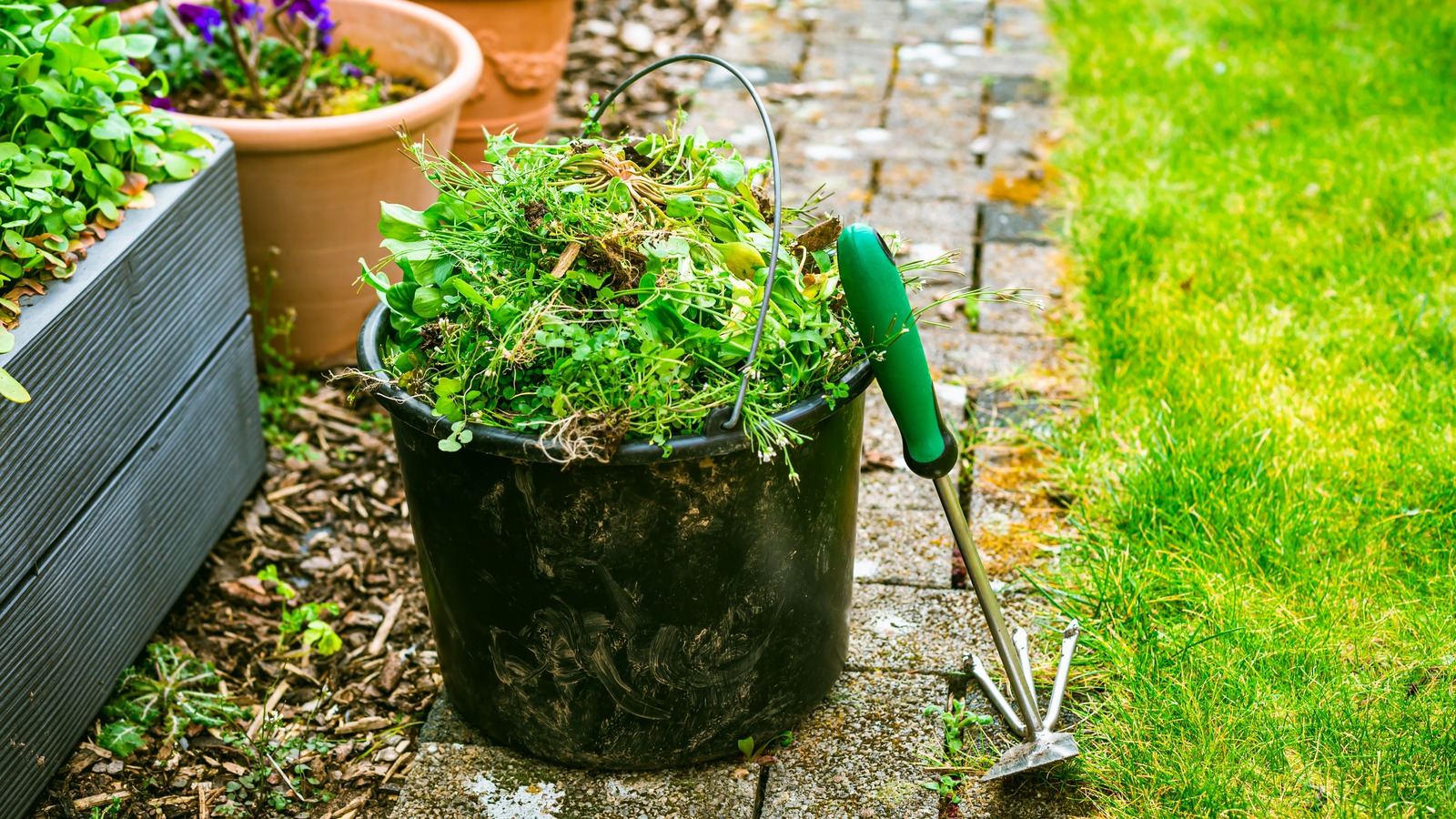 Learn 5 Essential Post-Weeding Safety Tips From Our Expert Gardener