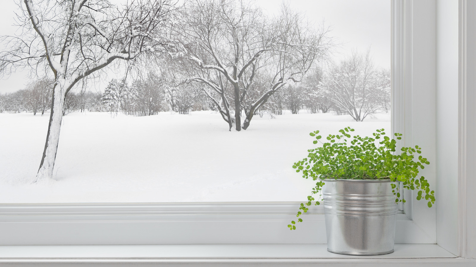5 Tips To Help You Save Energy This Winter