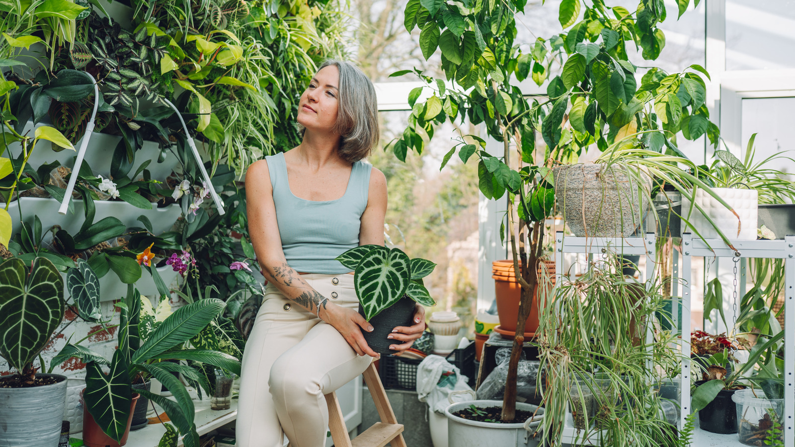 6 Trending Houseplants For 2025 That You Won't Want To Miss