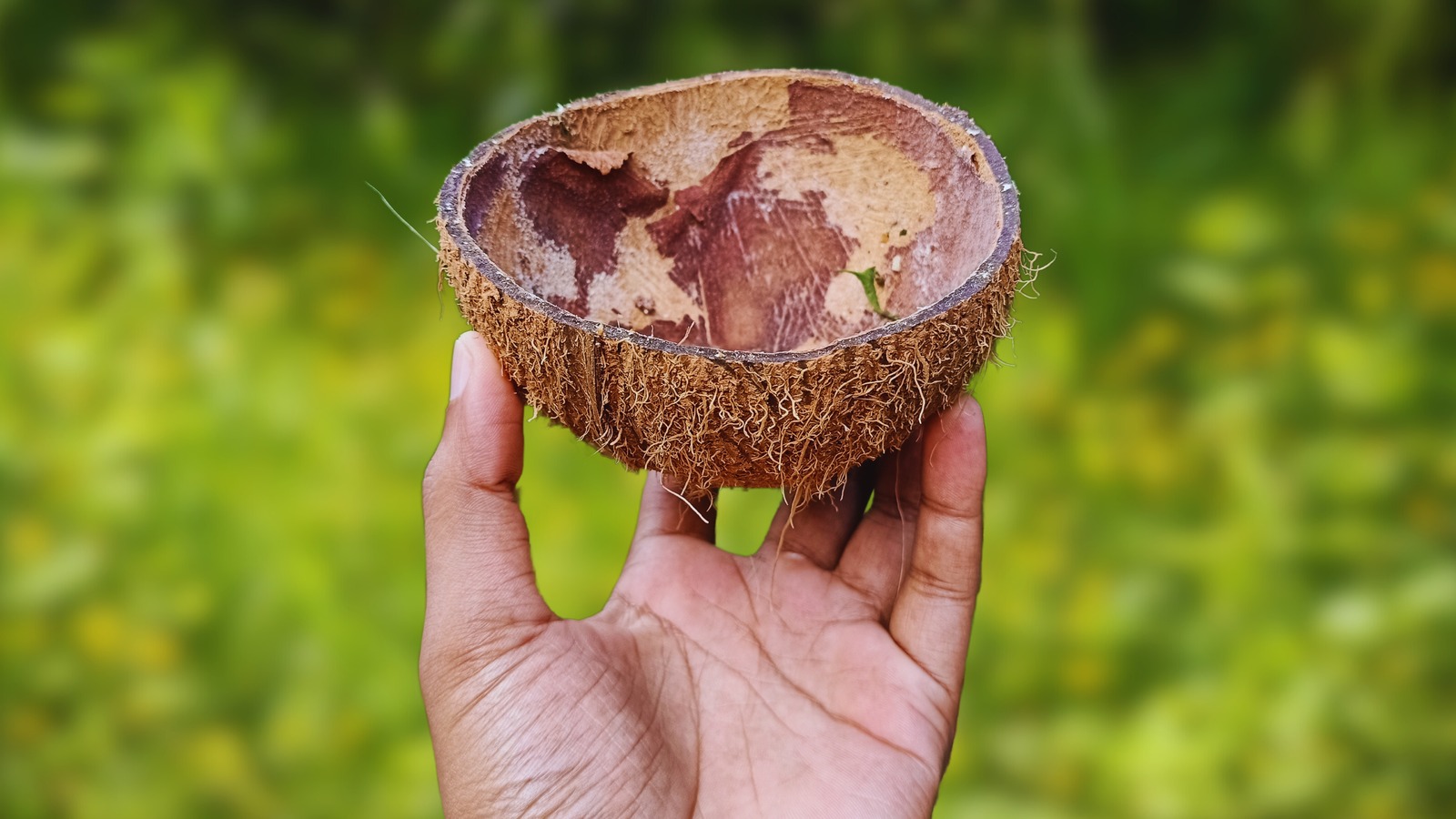 7 Ingenious Ways To Repurpose Coconut Shells In Your Home & Garden