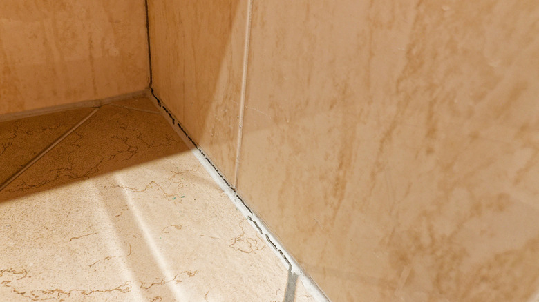 8 Reasons Your Shower's Caulk Is Showing Cracks