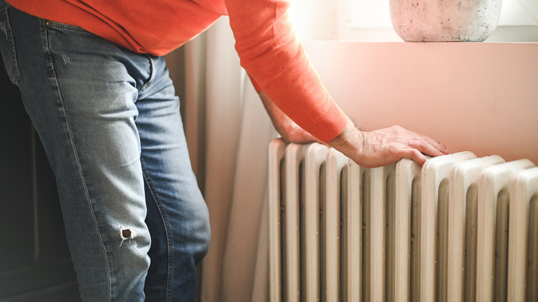 Masie O'Toole - House Digest