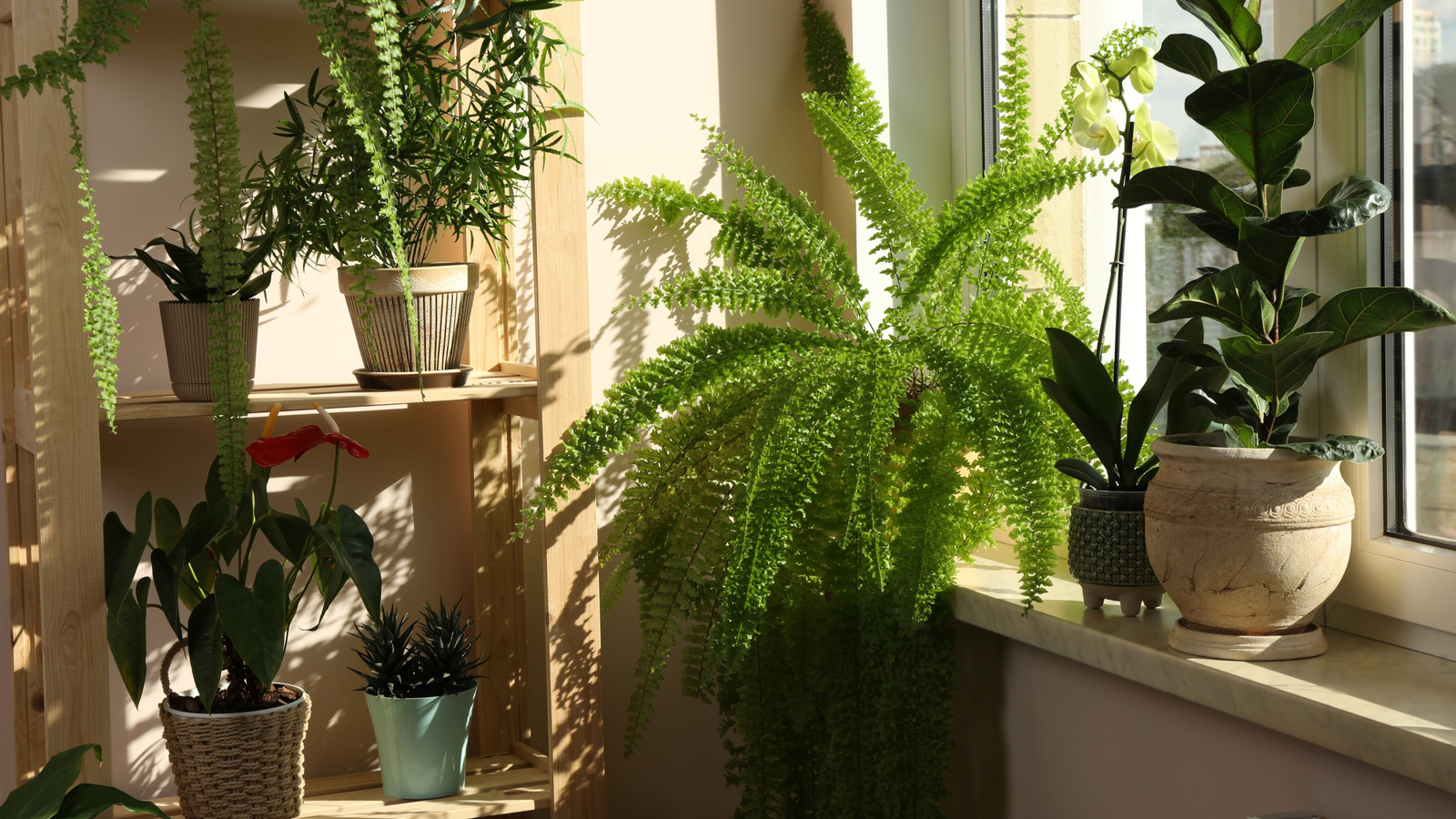 9 Best Planter Types That Promote Growth, Energy, And Stability ...