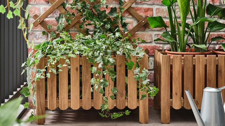 9 Best Planter Types That Promote Growth, Energy, And Stability ...