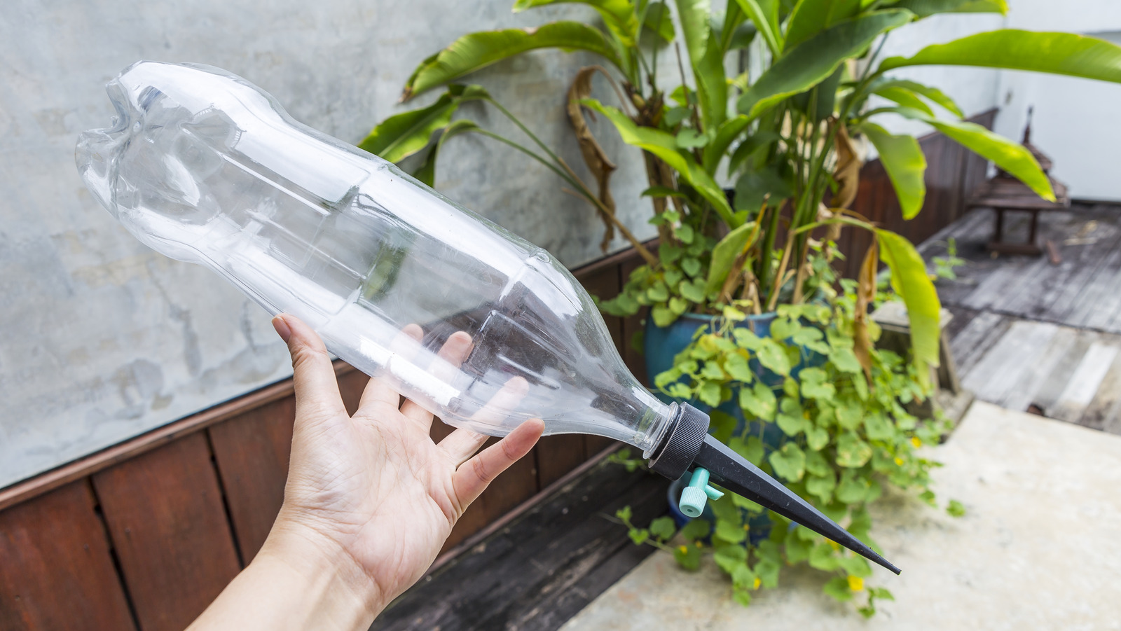 Diy Plant Watering Devices