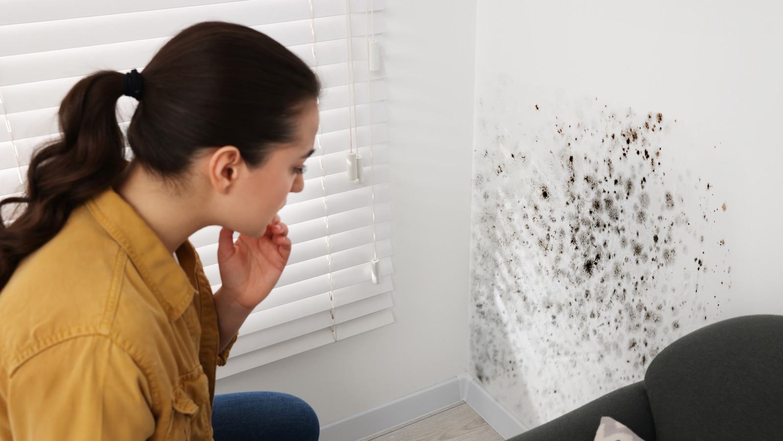 9 DIY Ways To Remove Mold In And Around Your Home For A Fresher Space