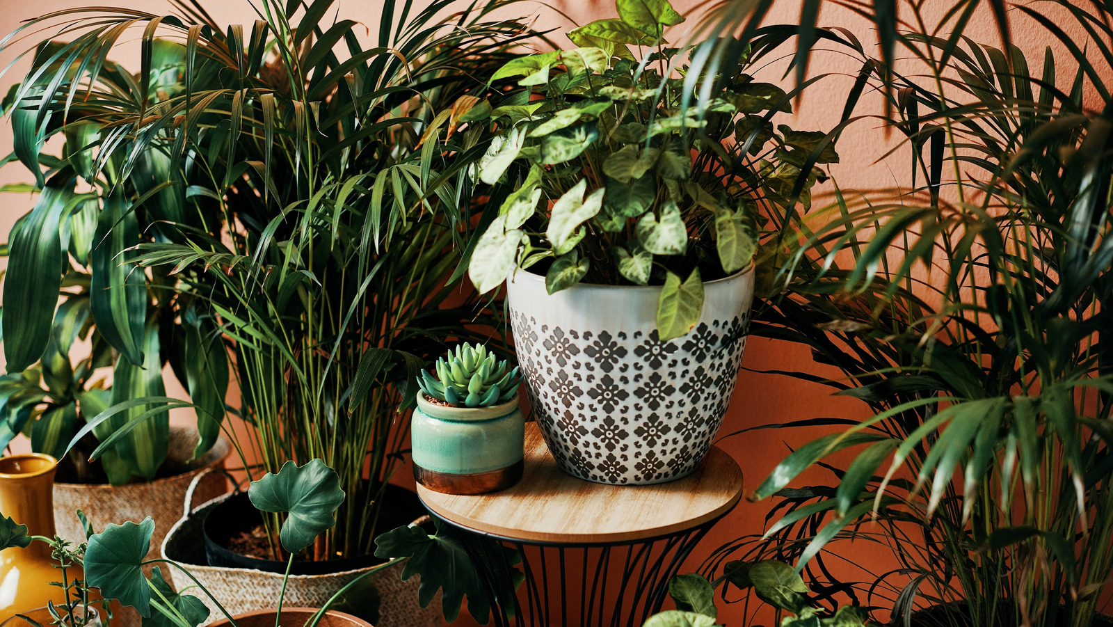 A Beginner's DIY Guide To Creating A Self-Watering Planter Your Plants ...