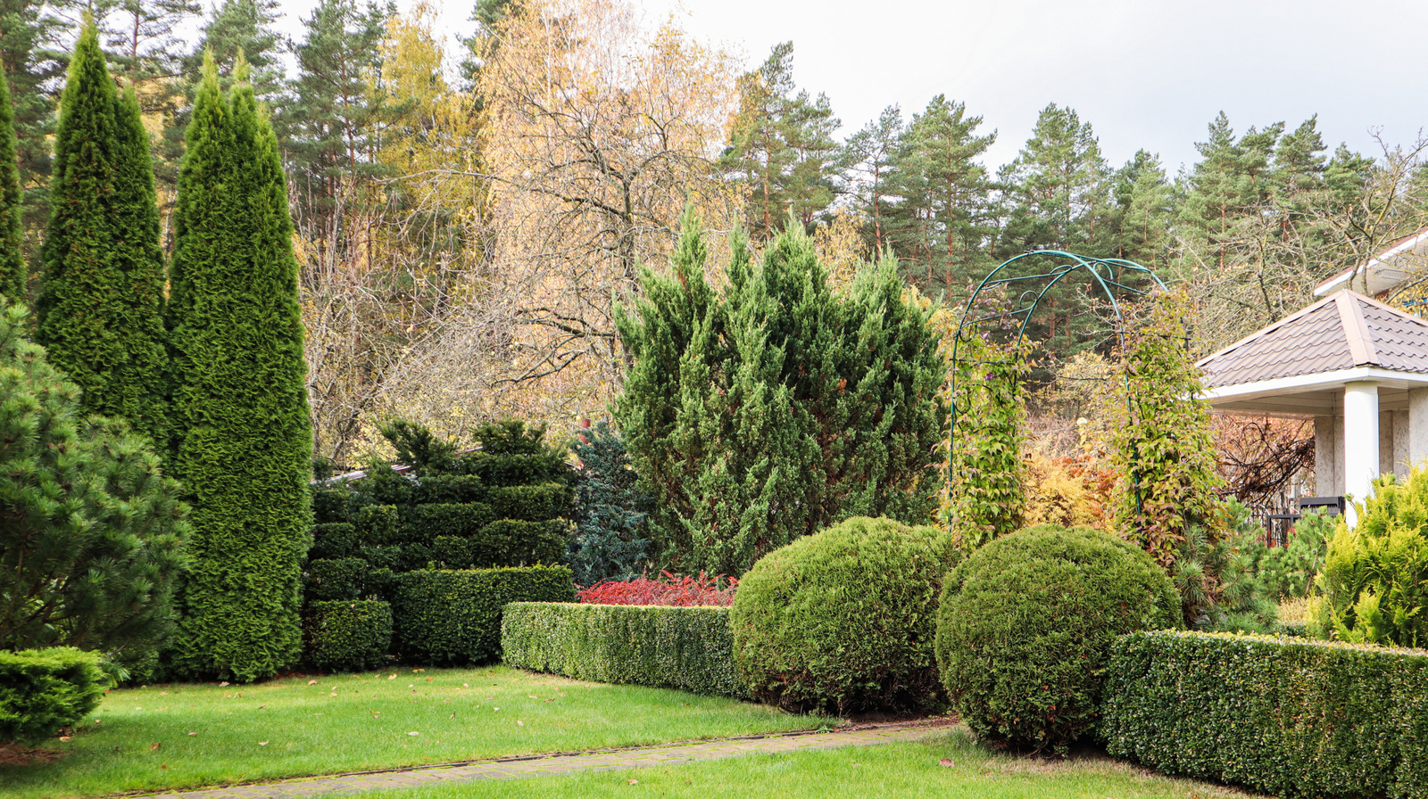 A Living Hedge Edge Will Give The Perfect Country Garden Feel