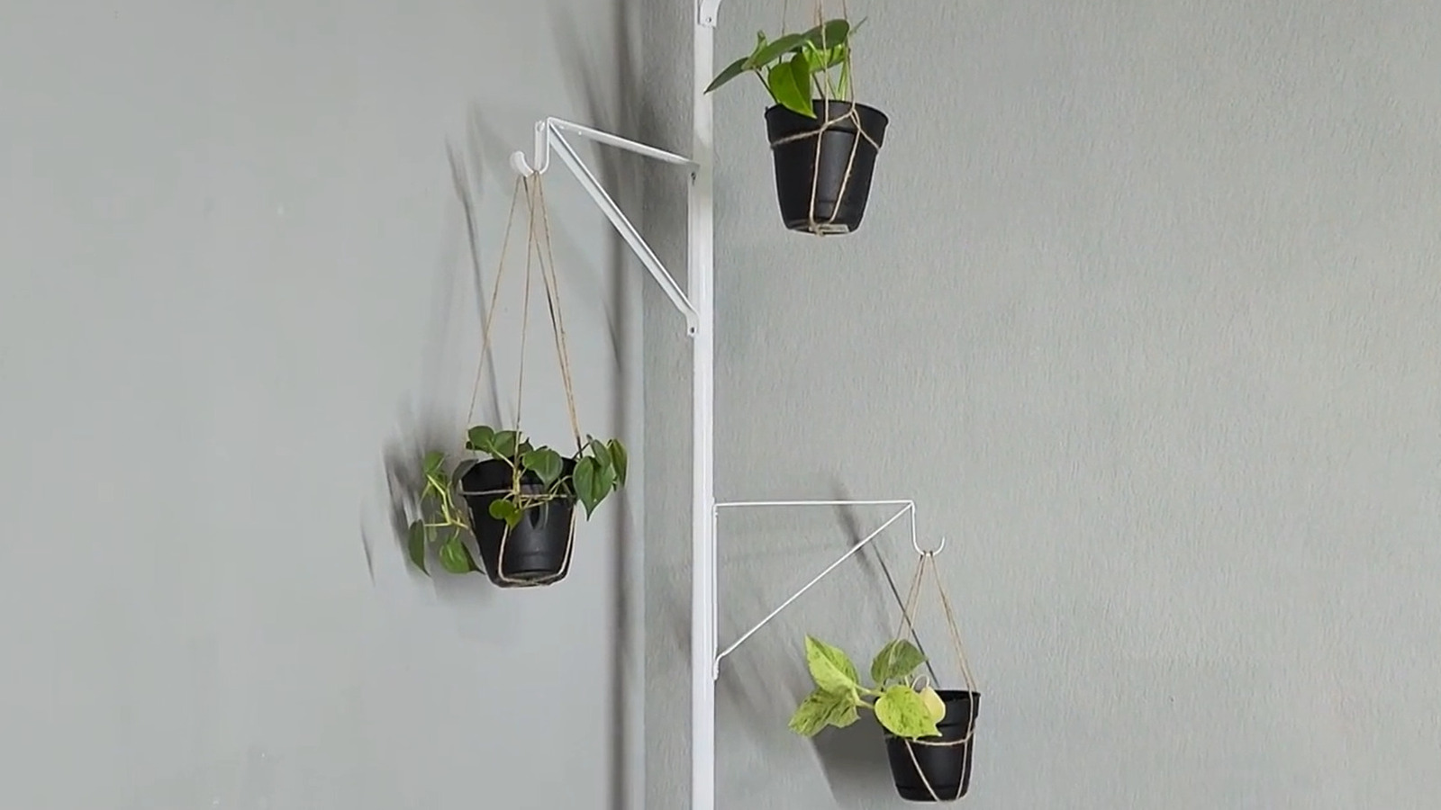 Add Color To A Lifeless Corner With This DIY Vertical Plant Hanger