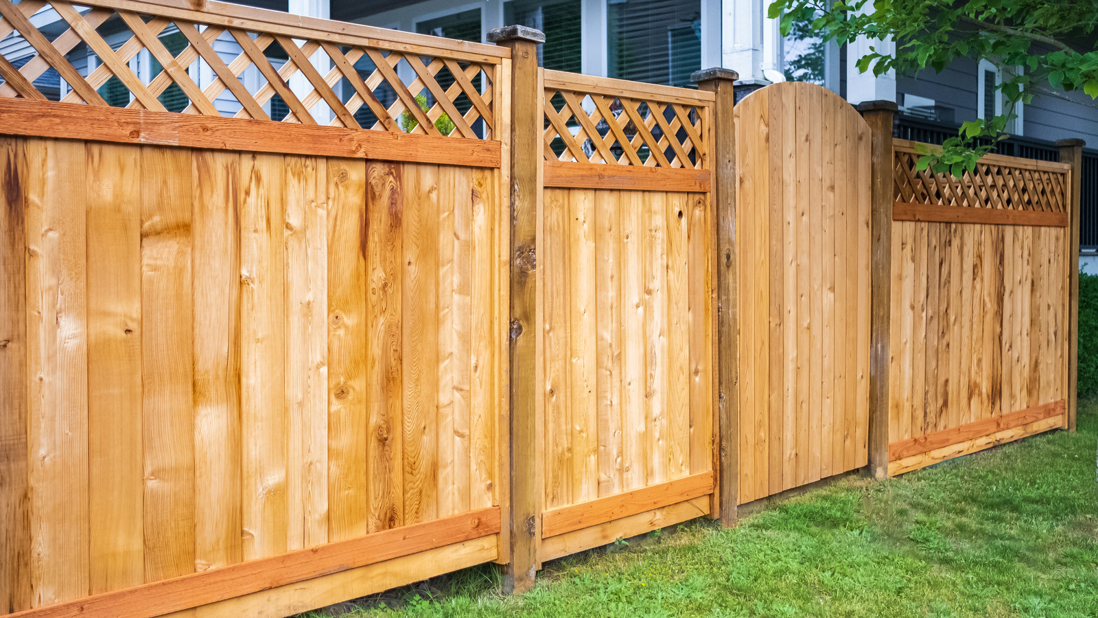 Add Extra Privacy To Any Backyard Fence With A Gorgeous Faux Greenery Wall