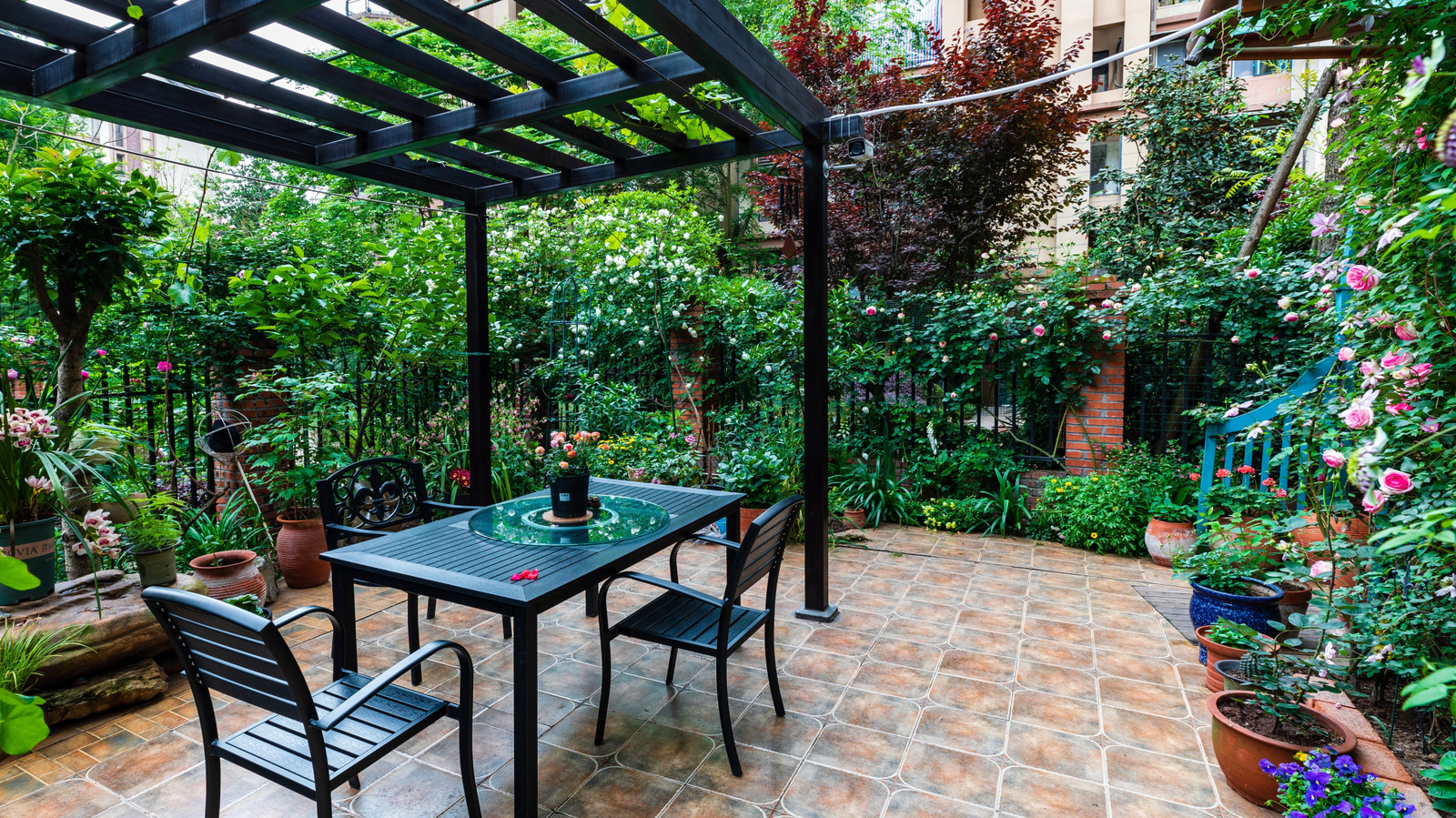 Add Height To Your Garden With A Fast-Growing Climbing Flower That's ...
