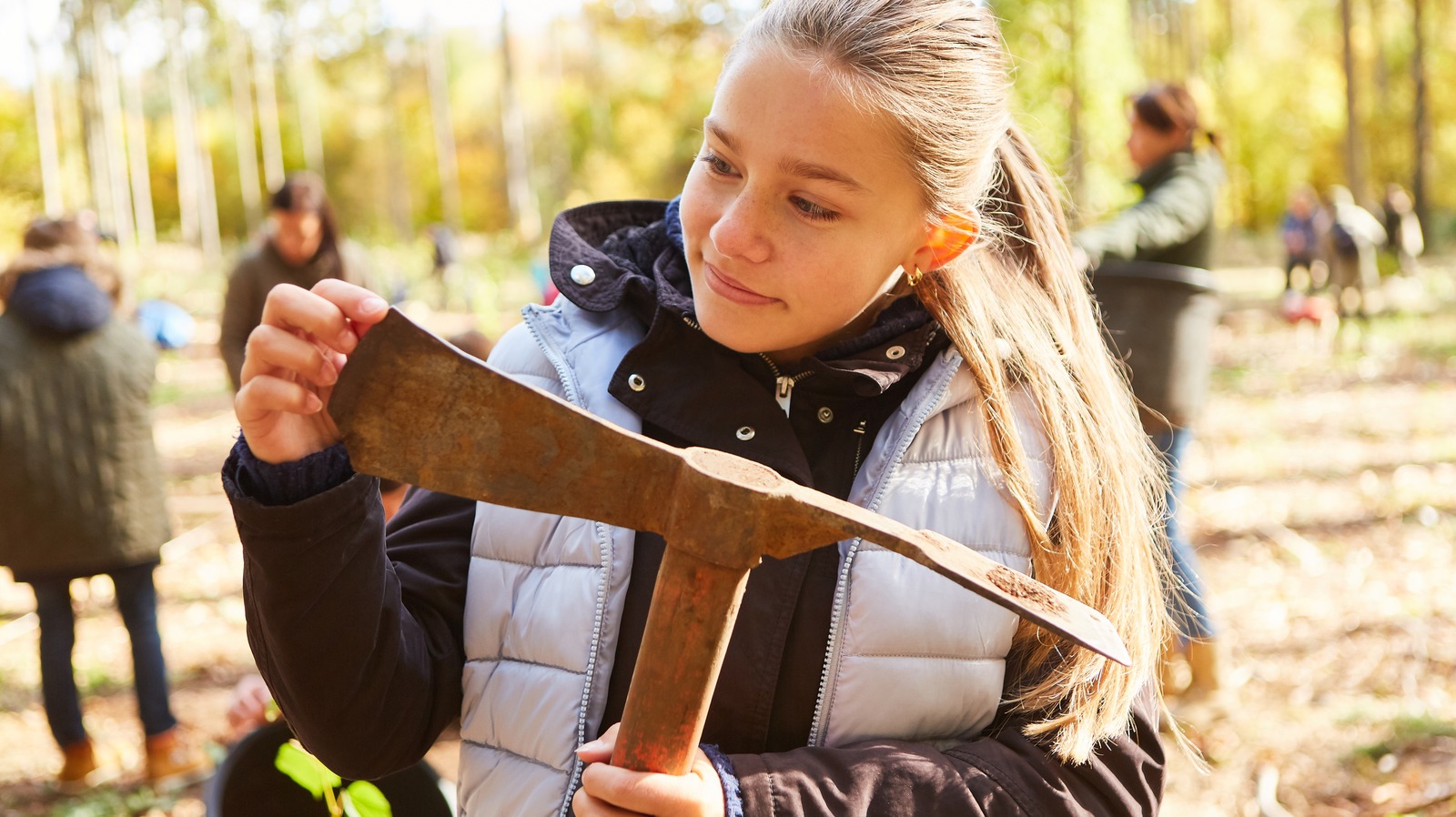 Adzes Explained: The DIY Woodworking & Garden Tool You Never Knew You ...