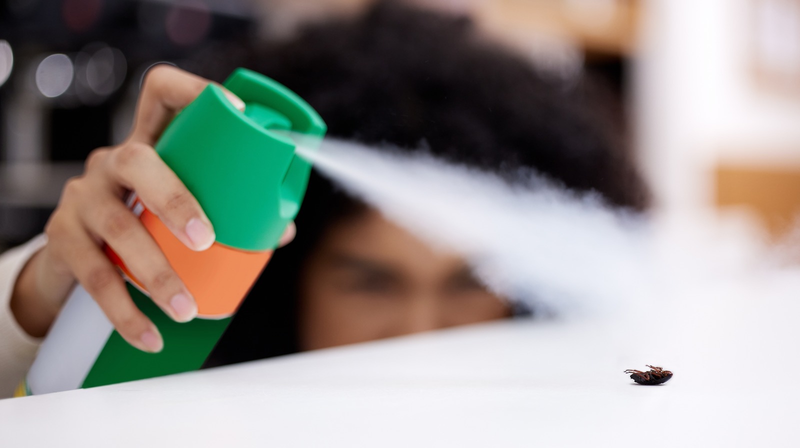 All The Places You Should Be Spraying In And Around Your Home For Pests