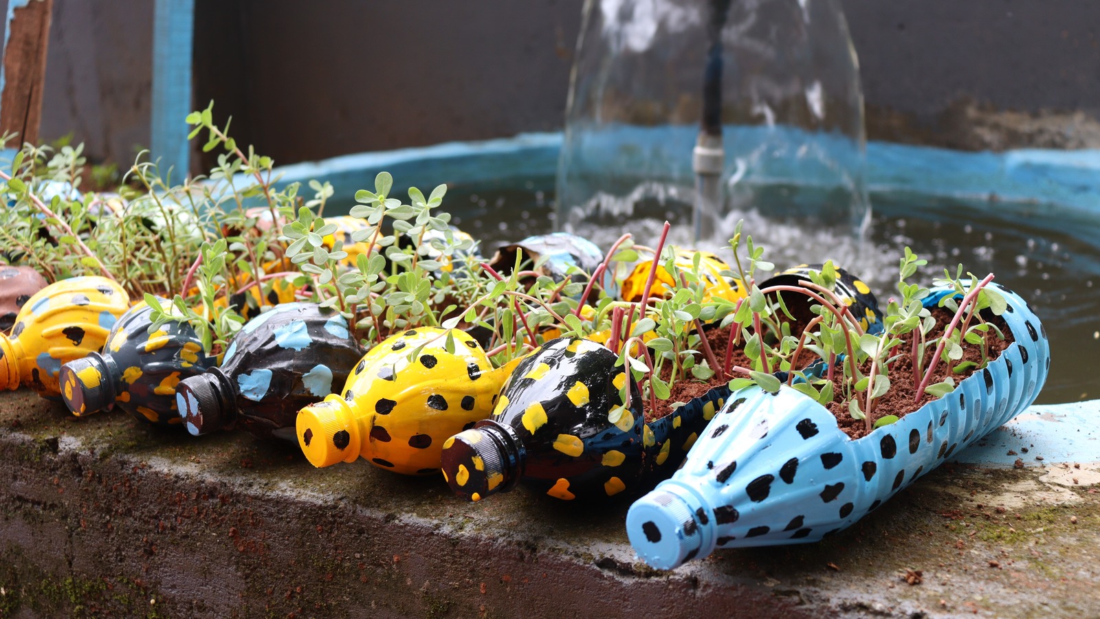All The Ways You Can Reuse Those Plastic Water Bottles In Your Garden