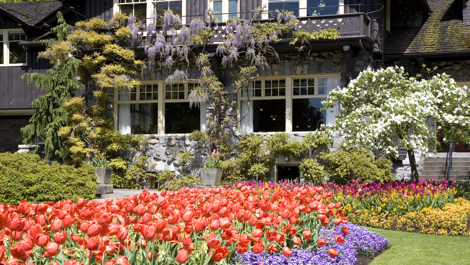 Are All Non-Native Plants Considered Invasive? Our Master Gardener ...