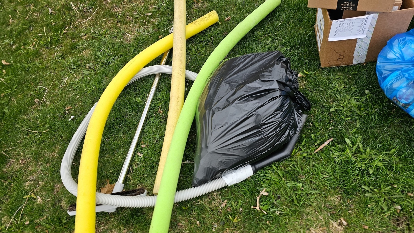 Are Pool Noodles Biodegradable? Here's How To Dispose Of Them Properly