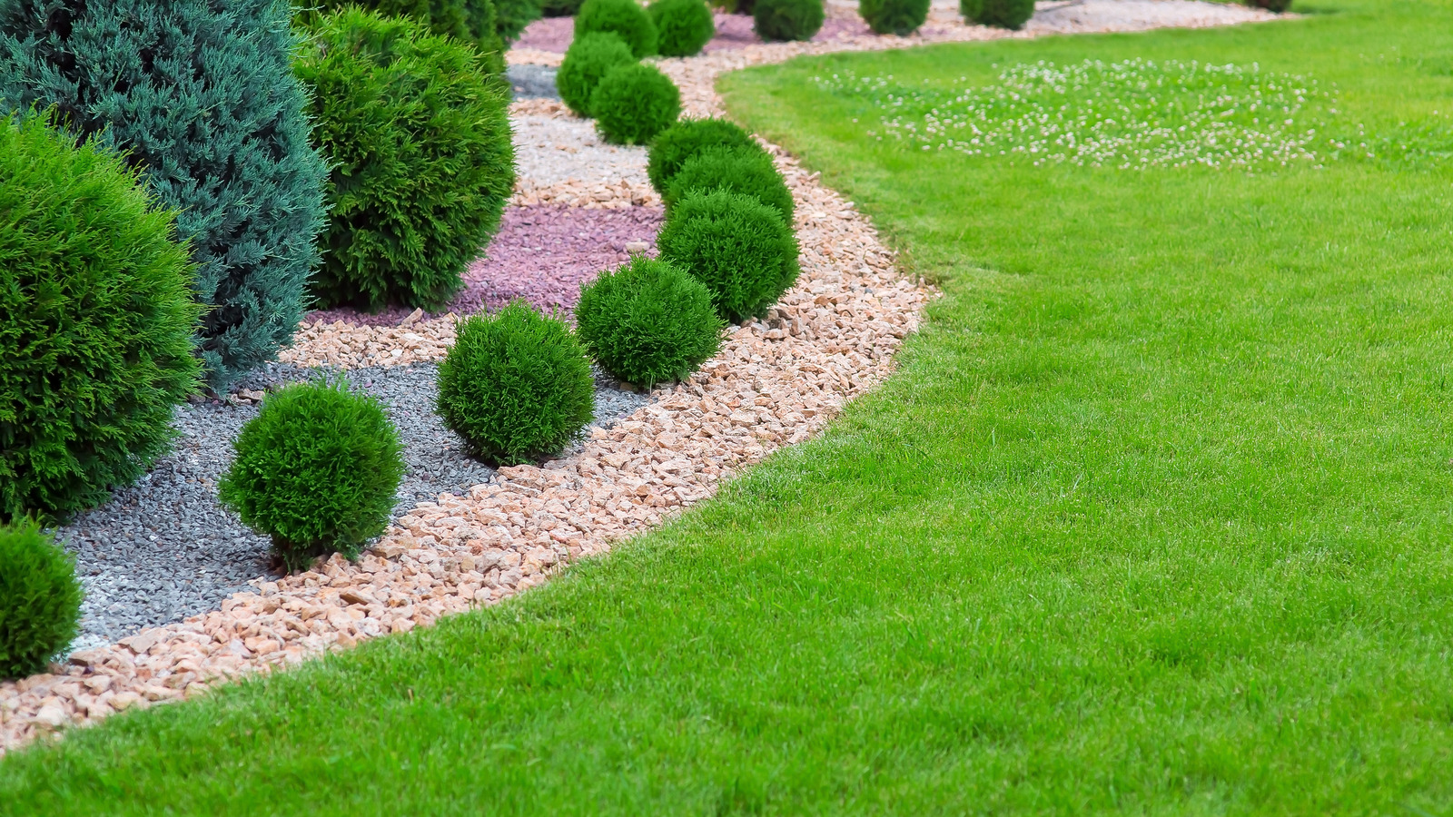 Bad Habits That Could Be Destroying Your Front Lawn