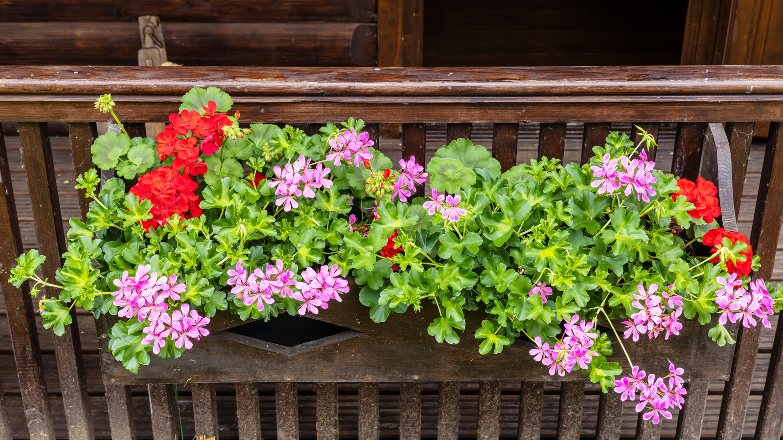 You Can DIY A Railing Planter To Save Money And Show Off Your Blooms