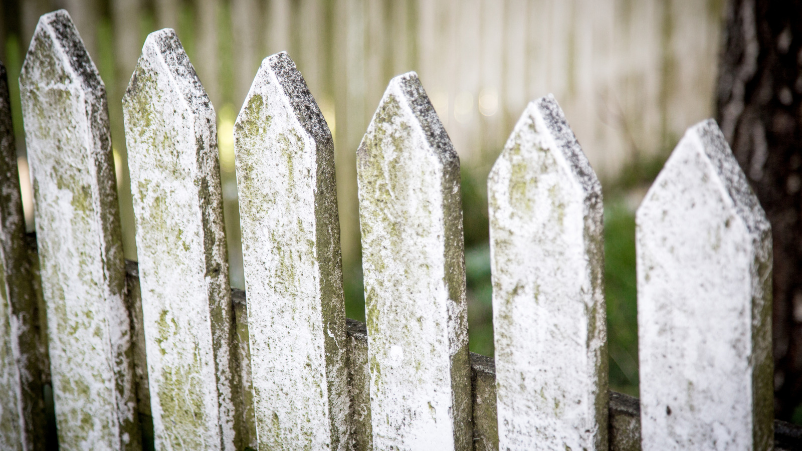 Beautify An Outdoor Fence While Preventing Wood Rot With One Promising ...