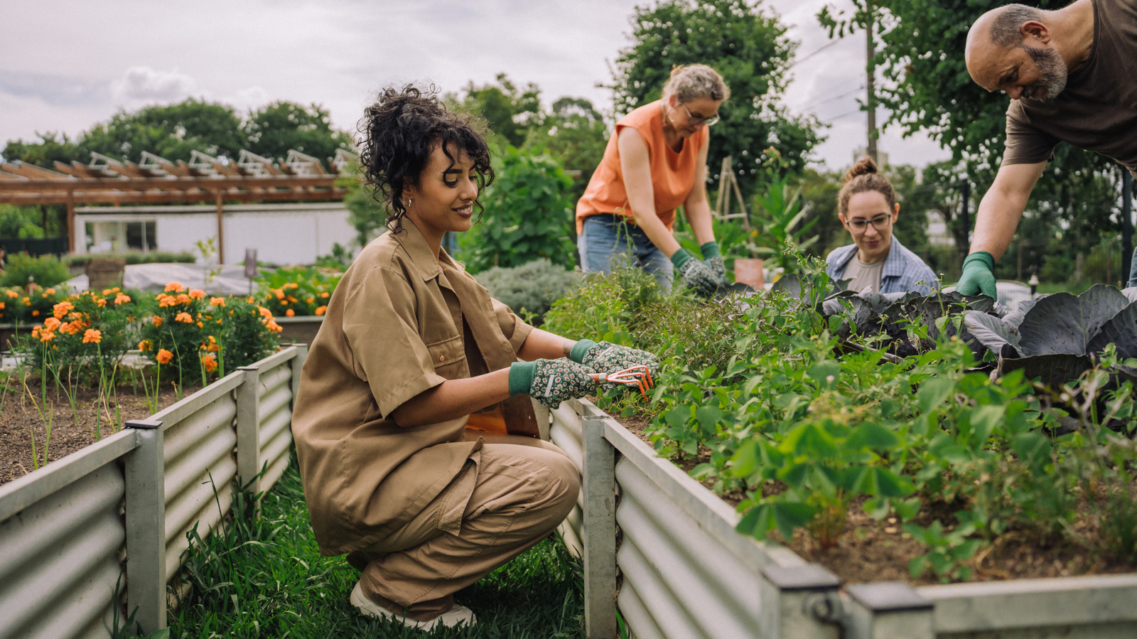 12 Benefits Of Community Gardens And Steps To Get Started In Your Area