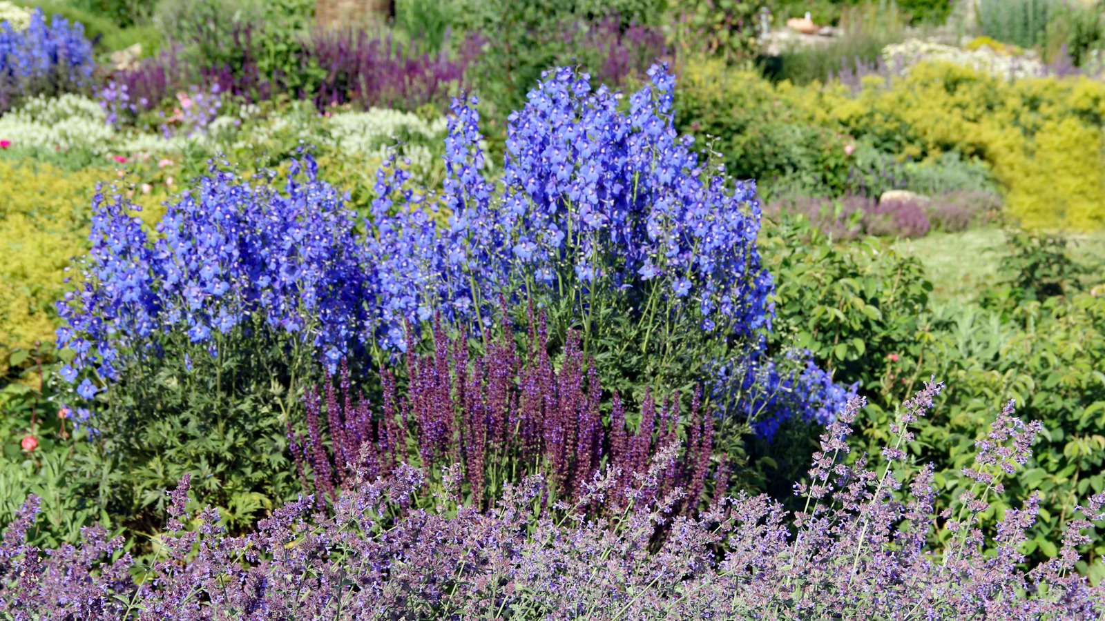 How To Use The Blue In Your Garden (& The Best Color To Pair With It)