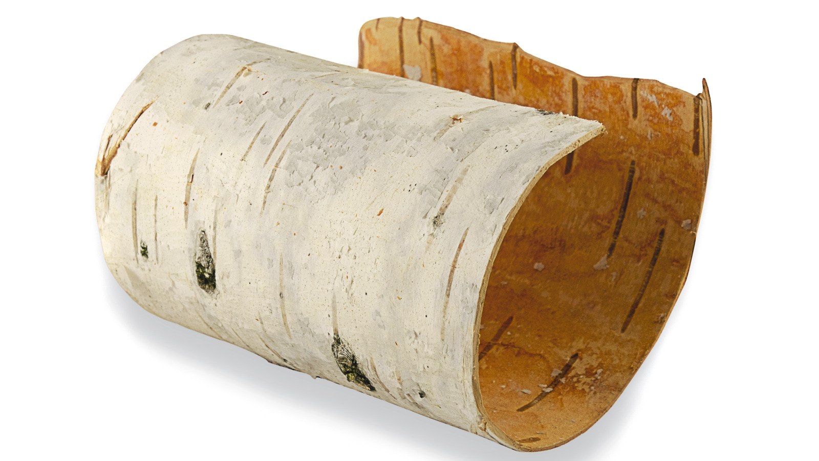 Bring The Outdoors In With A DIY Rustic Birch Tree Vase