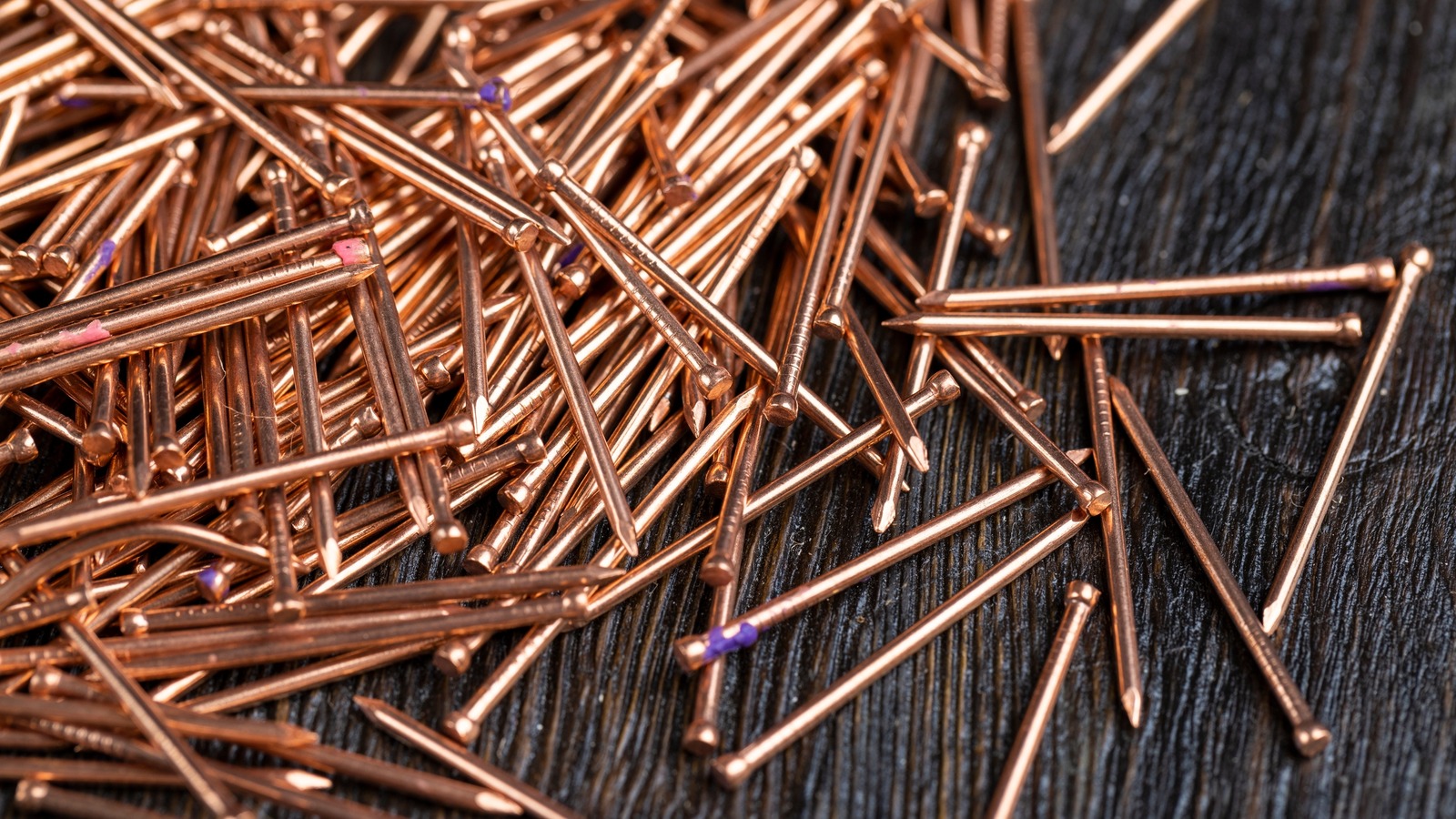 Can You Get Rid Of Unwanted Trees In Your Yard With This Copper Nail Trick?