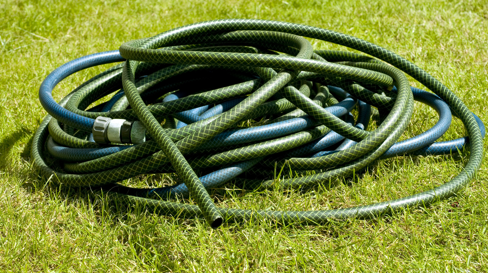 Can Your Old Garden Hose Really Double As The Perfect Backyard Pest Trap?